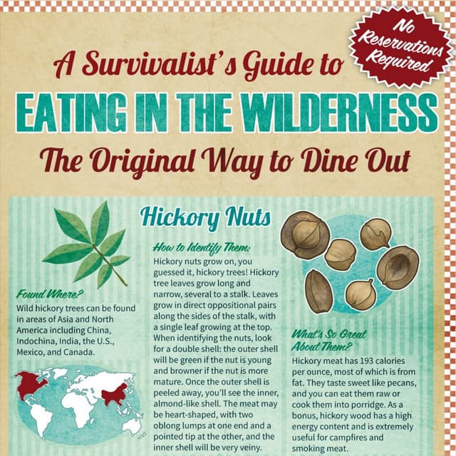 Survivalist's Guide to Eating in the Wilderness