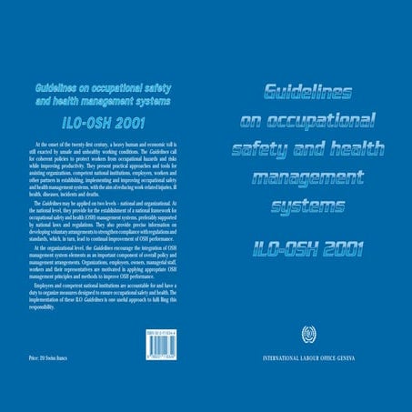 Guidelines on Occupational Safety and Health Management Systems ILO-OSH ...