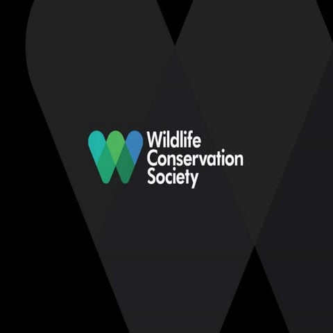 Wcs vision and mission | PPTX