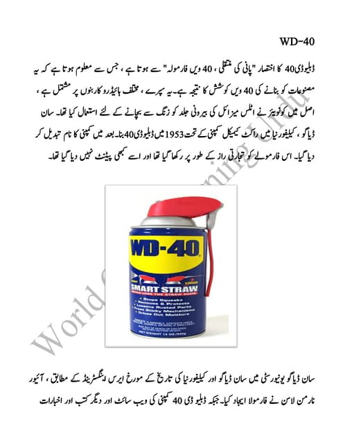 World class learning urdu blog | PDF