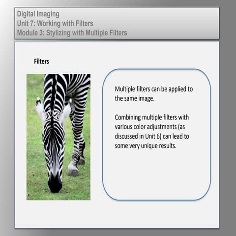 Wd133 unit 7 module 3 stylizing with multiple filters | PPT