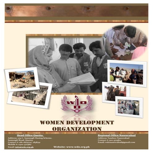 Wdo profile (1) | PDF