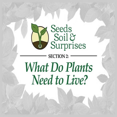 What Do Plants Need to Live? | PDF