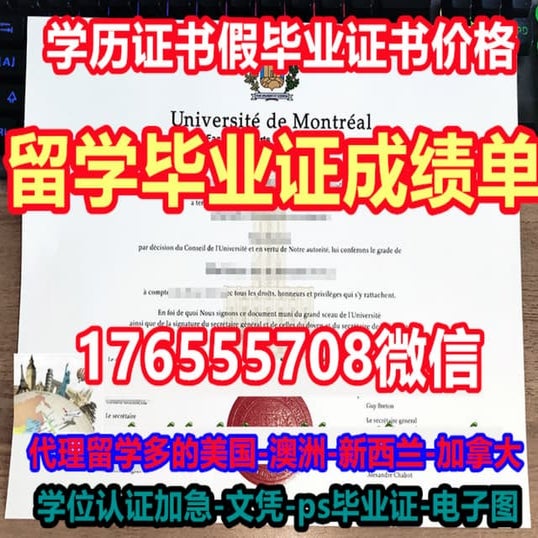 USF毕业证 | PDF