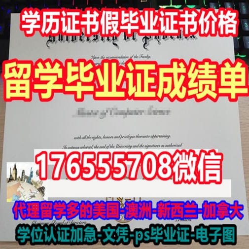 LSBU毕业证 | PDF