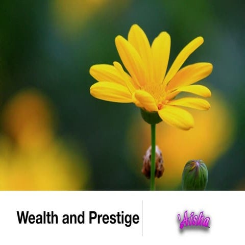 Wealth and Prestige | PDF