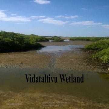 Vankalai wetland | PPTX