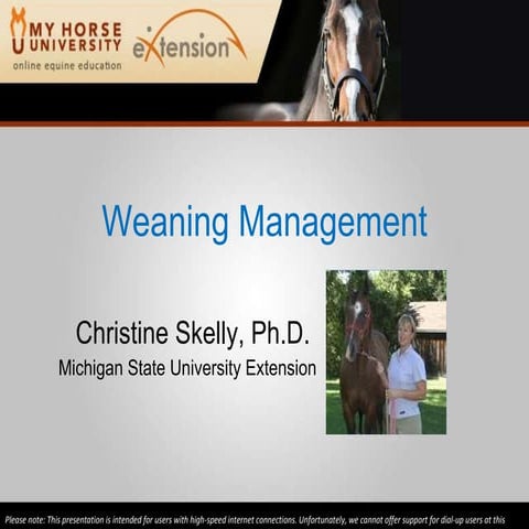 Weaning A Foal (Skelly) | PPT | Equine Sports | Sports