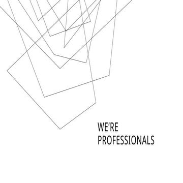 We are professionals yet we make mistakes | PPTX