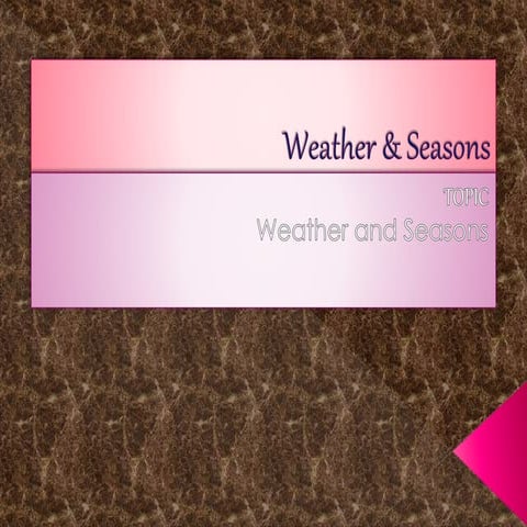 Weather and Seasons | PPTX