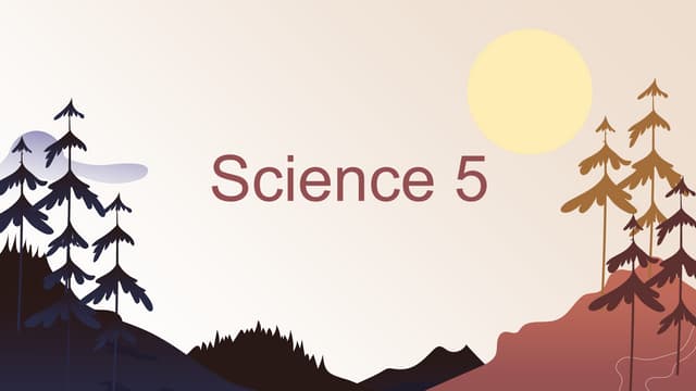 The 8 phases of moon grade 5 lesson in Science | PPT