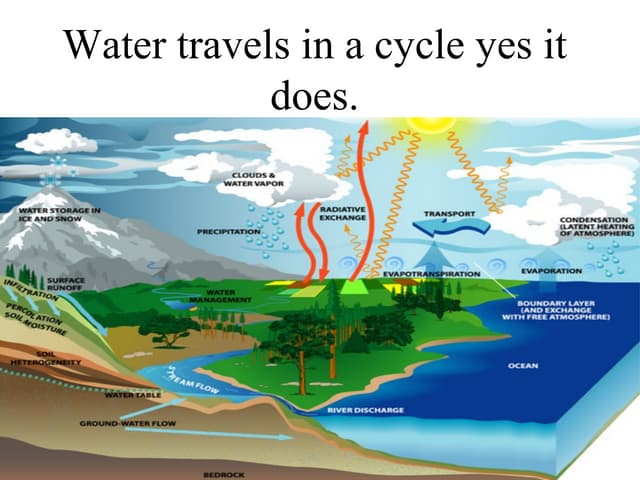 WATER CYCLE | PPTX