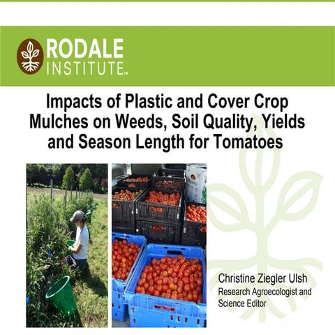 Crop Rotations for Soil Health | PDF
