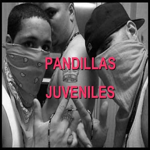 Pandillas juveniles | PPT