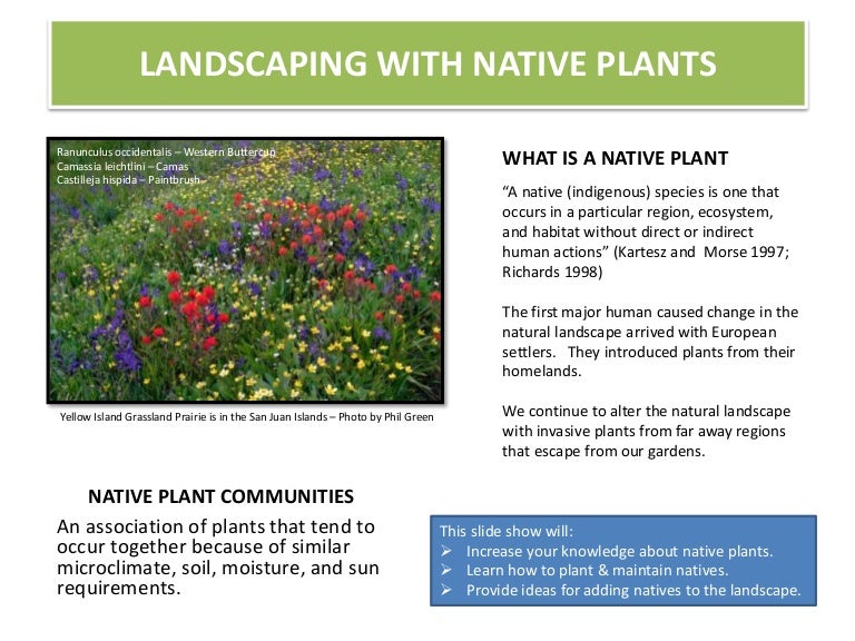 Landscaping with Pacific Northwest Native Plants