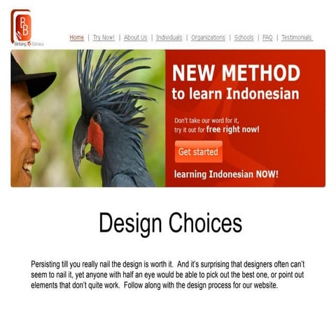 Web Page Design Choices | PPT