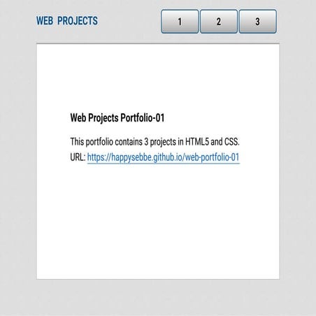 Web Projects Portfolio-01 | PPT