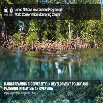 Mainstreaming biodiversity in development policy and planning ...