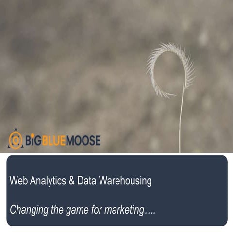 Web Analytics And Data Warehousing Preso For Syncsort Ppt