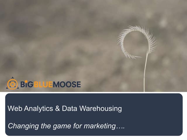 Web Analytics And Data Warehousing Preso For Syncsort Ppt