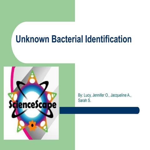 WEBBacterialIdentificationPresentation03July.ppt