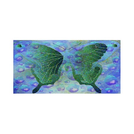 Webbutterfly | PDF