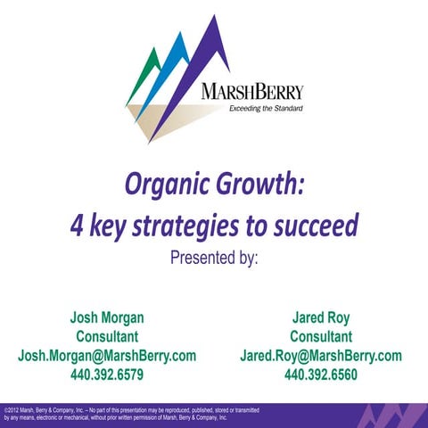 Organic Growth: 4 key strategies to succeed | PDF