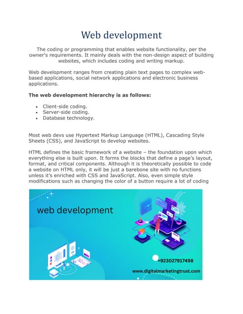 Web Development Report | PDF
