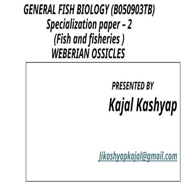 weberian ossicles (Fish and fisheries) General fish and biology | PPTX