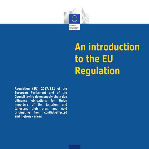EU regulation: history, aim, due diligence | PPTX