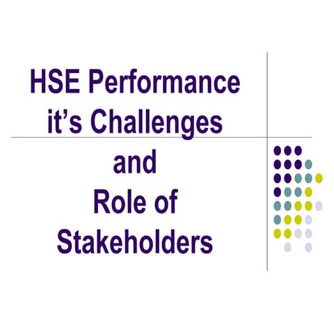 HSE Performance Challenge and Role Stakeholder.pdf