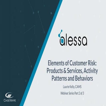 Elements of Customer Risk - Products & Services, Activity Patterns and ...