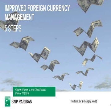 5 steps to improved foreign currency management | PPT