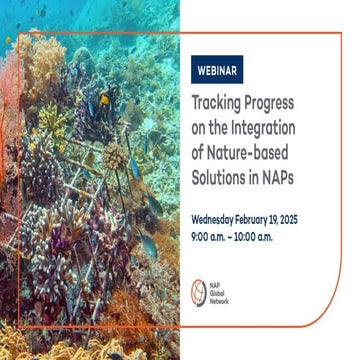 Webinar NbS-EbA in National Adaptation Plan (NAP) Processes | PPTX
