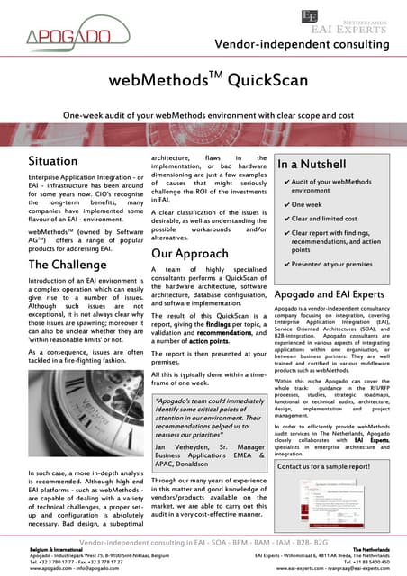 Basic Risk Identification Techniques | PPT