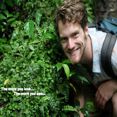 The more you look the more you see | PPTX