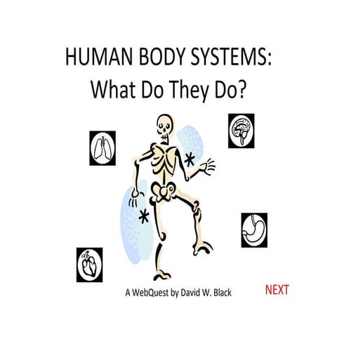 Human Body Systems WebQuest | PPT