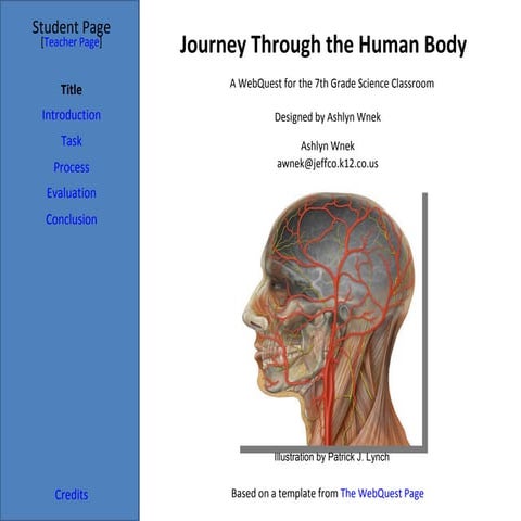 The Human Body Webquest | PPT