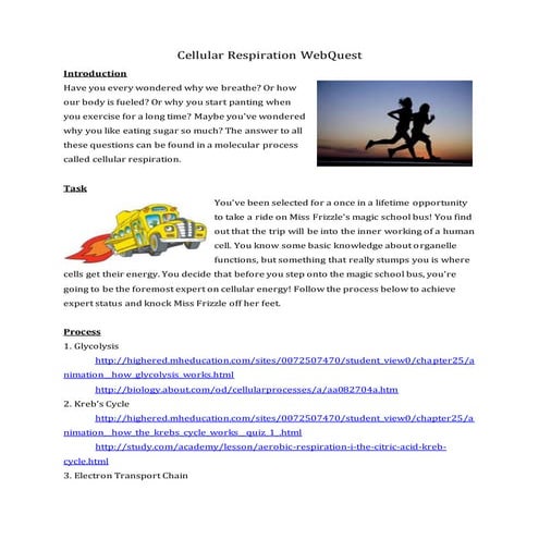 Cellular Respiration WebQuest | DOCX