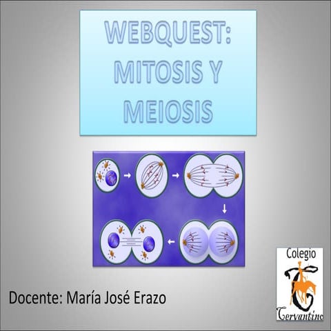 WEBQUEST MITOSIS Y MEIOSIS | PPT