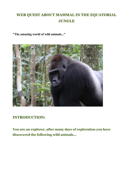 Guess the animal | PPT