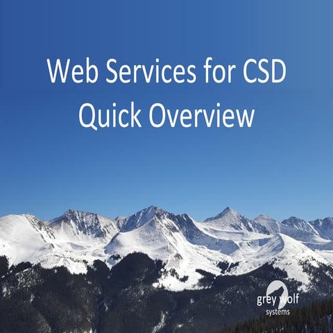 Web services for CSD Quick Overview | PPT
