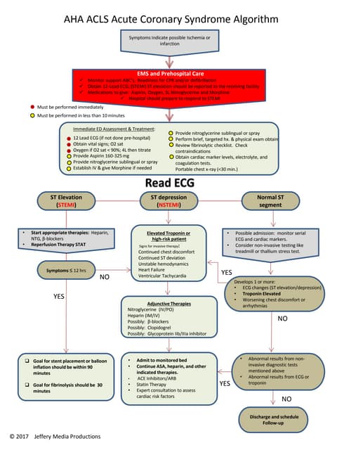 Echocardiography in shock | PPT