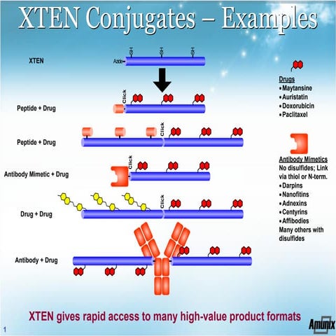 XTEN Conjugation v1 | PDF