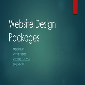 Website design-packages | PPT