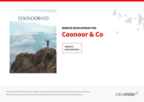 Website Development Showcase for Crane R&D Project | PDF