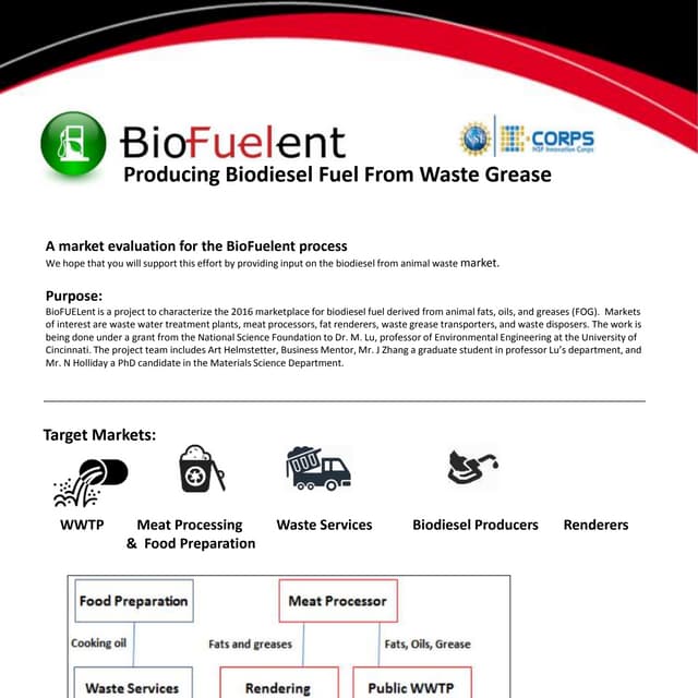 BioFuelent | PDF