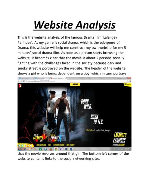 Website analysis | PDF