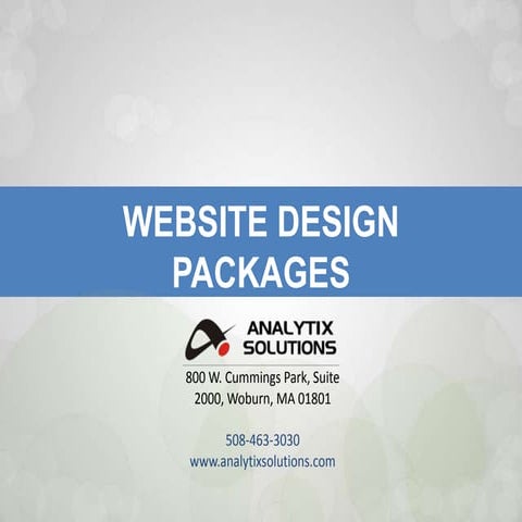 Website Design Packages | PPT
