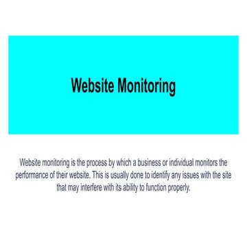 Website Monitoring.pdf